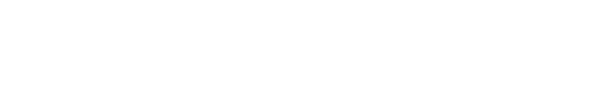 Turner & Townsend - Parallel Project Training