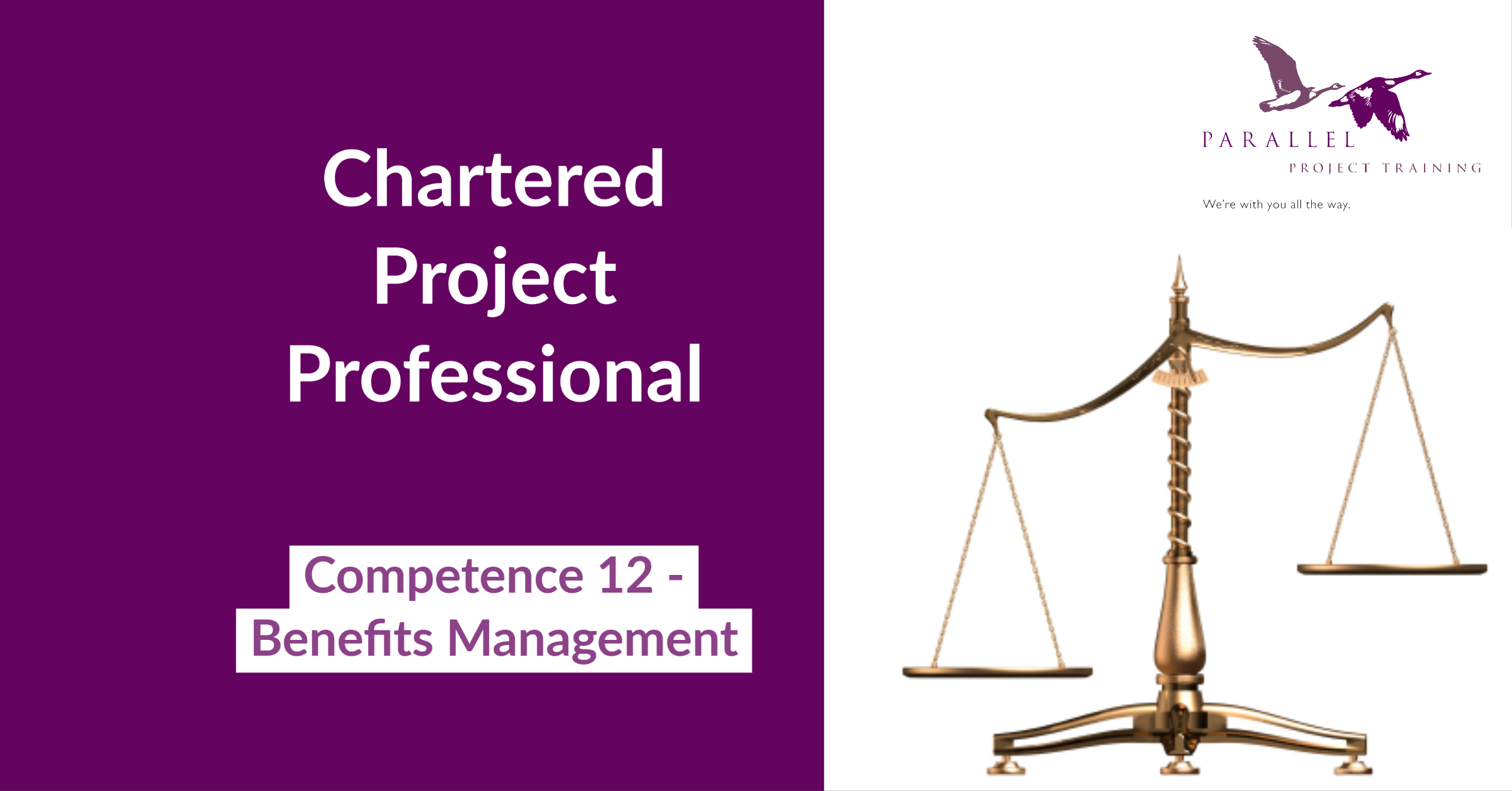 Chartered Project Professional - Elective Competence 12